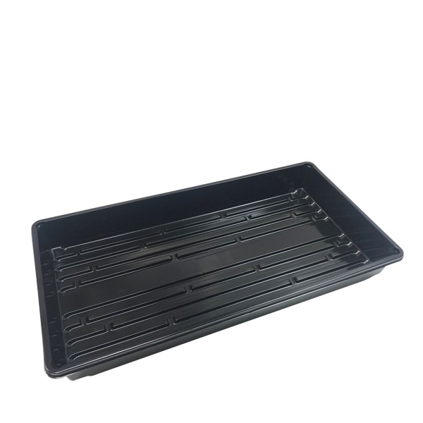 Propagation Tray – Caloundra Hydroponics